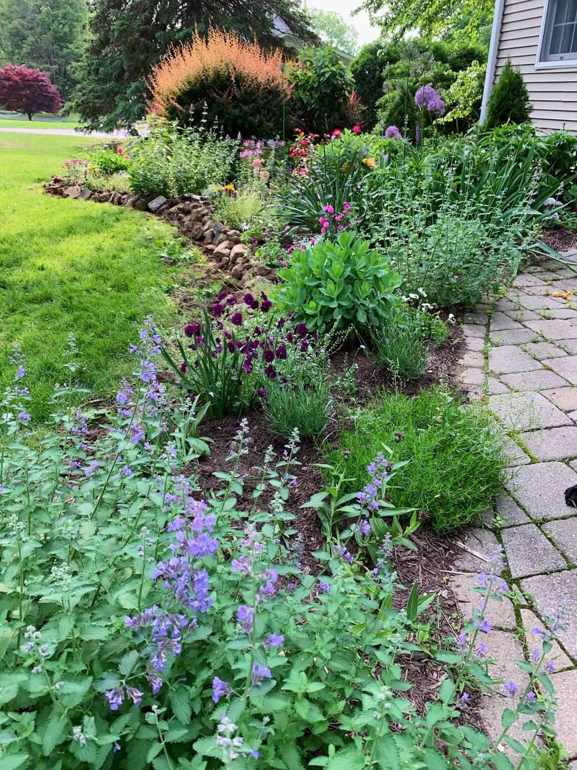 My Early Summer Garden Tour 2019 – Tidy Borders in My Previous Home ...