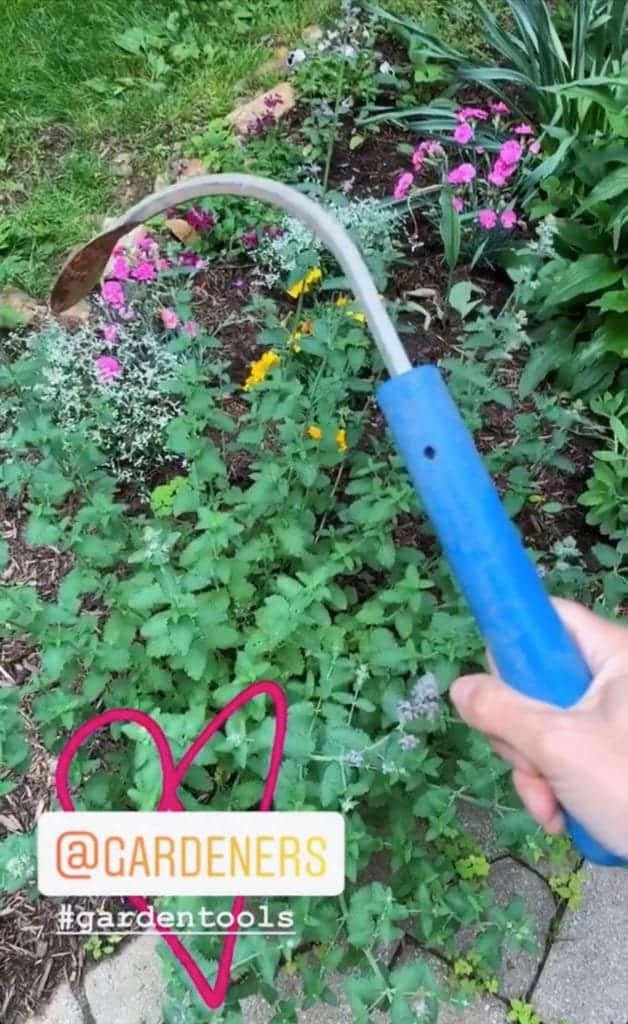 My Early Summer Garden Tour 2019 – Tidy Borders in My Previous Home ...