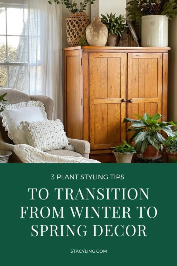 3 Plant Styling Tips to Transition from Winter to Spring Decor - Stacy Ling