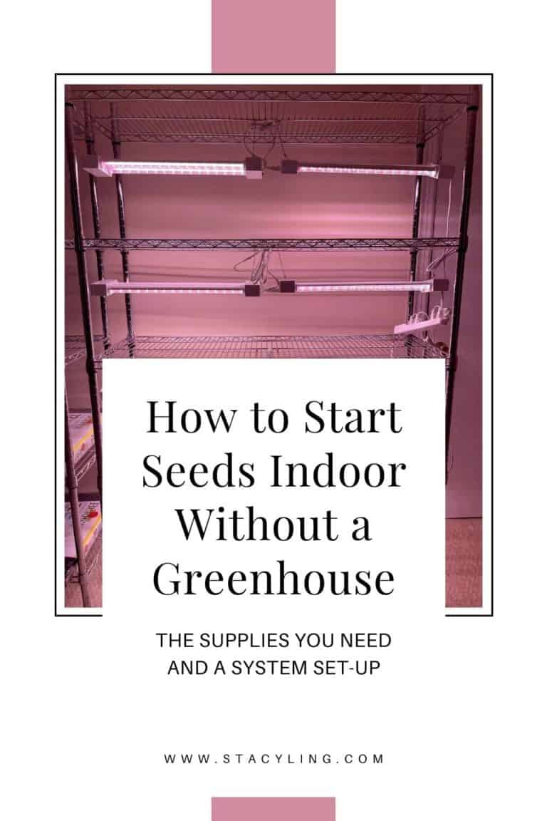 How to Create a DIY Seed Starting System | Stacy Ling