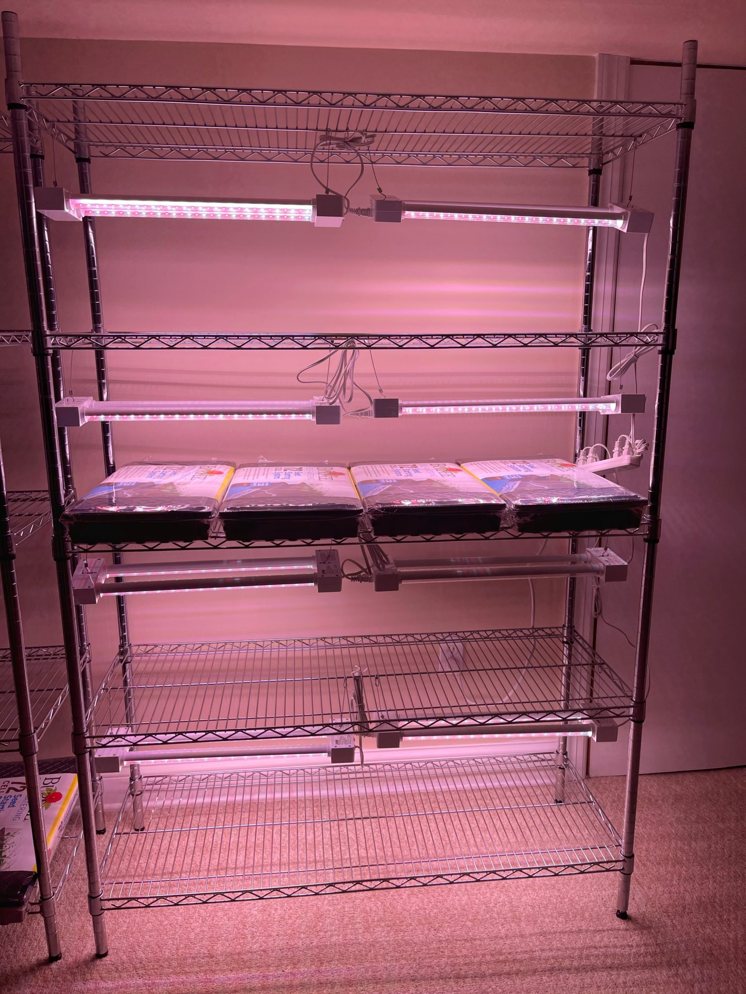 How to Create a DIY Seed Starting System | Stacy Ling