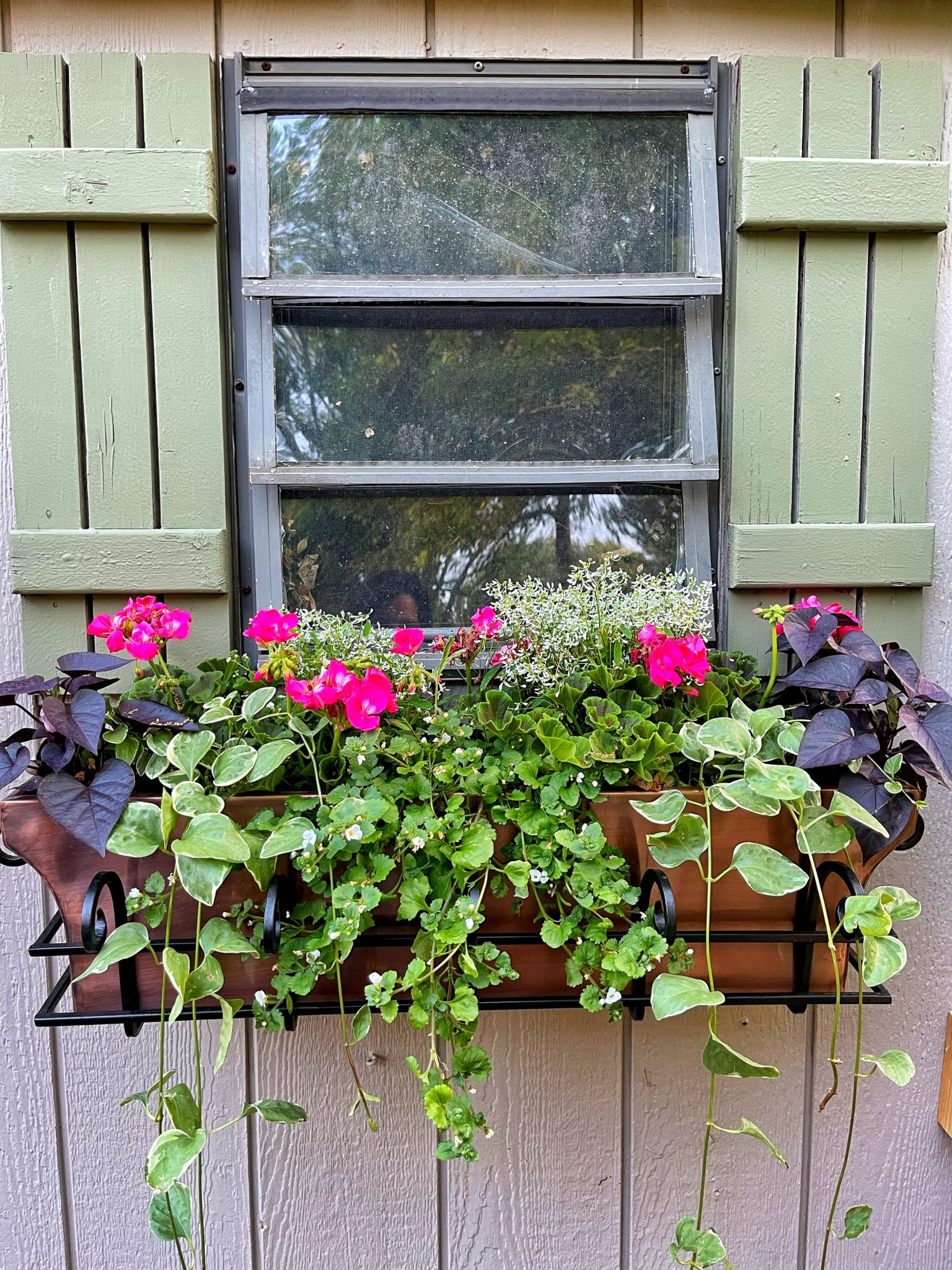 How to Create Stunning Window Boxes: Top Tips for Planting Flowers ...