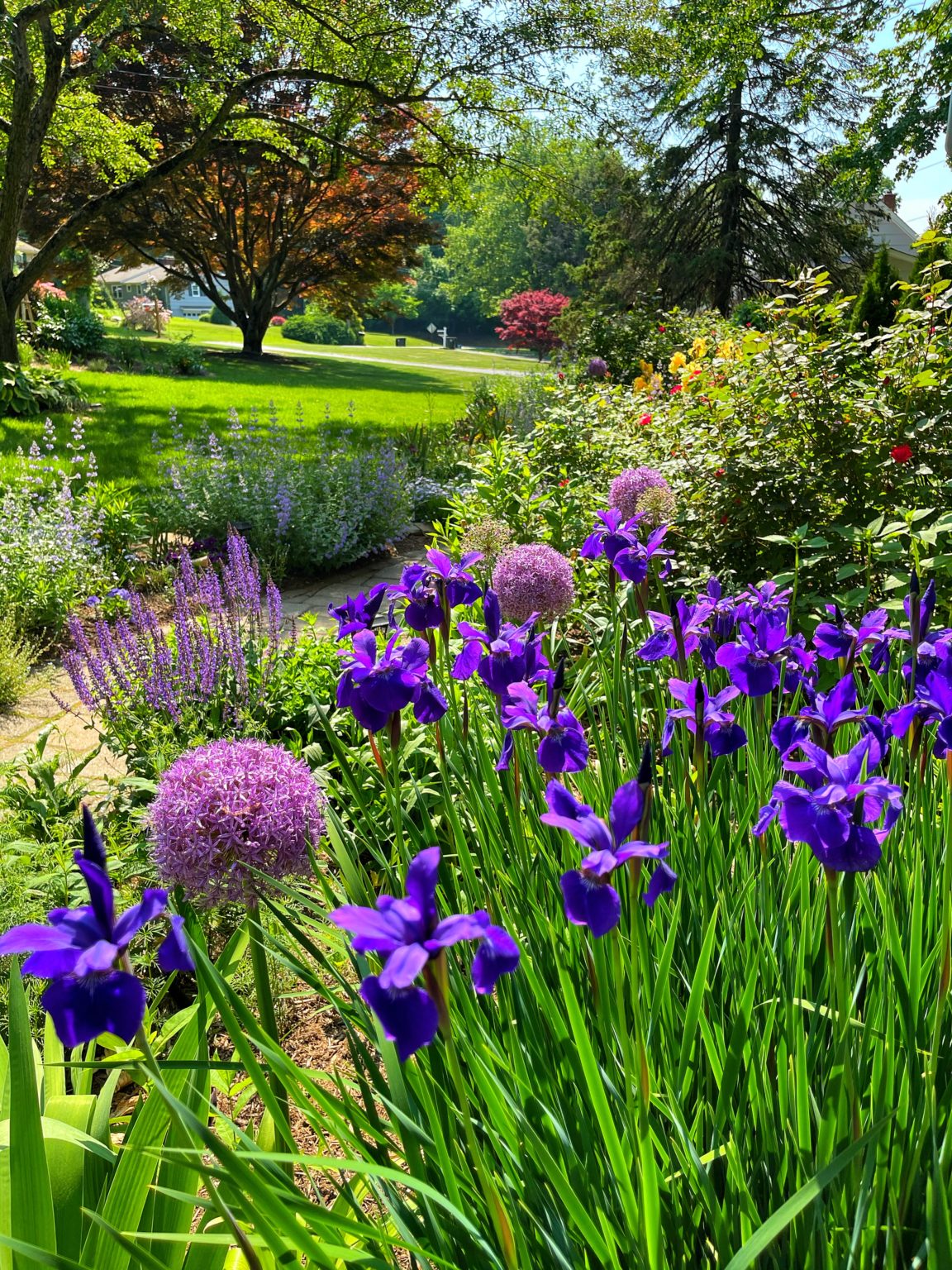10 Easiest Hummingbird Flowers for Your Garden - Bricks 'n Blooms with ...