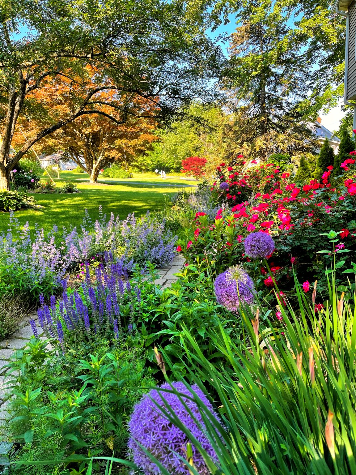 Dividing Perennials 101: Everything You Need to Know For a Thriving ...