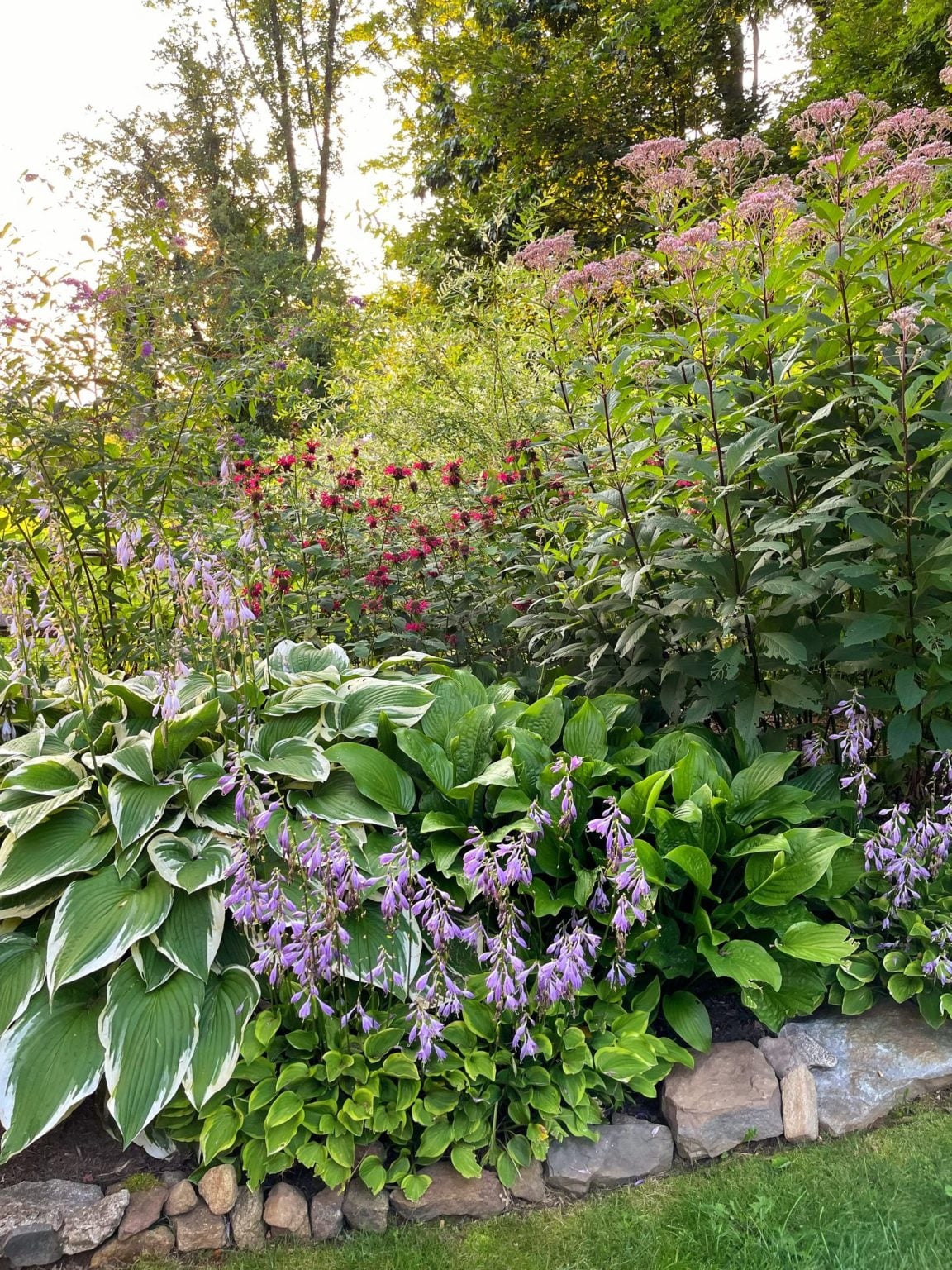 Hosta Care Made Easy: A Complete Guide to Growing Hostas in Shade ...