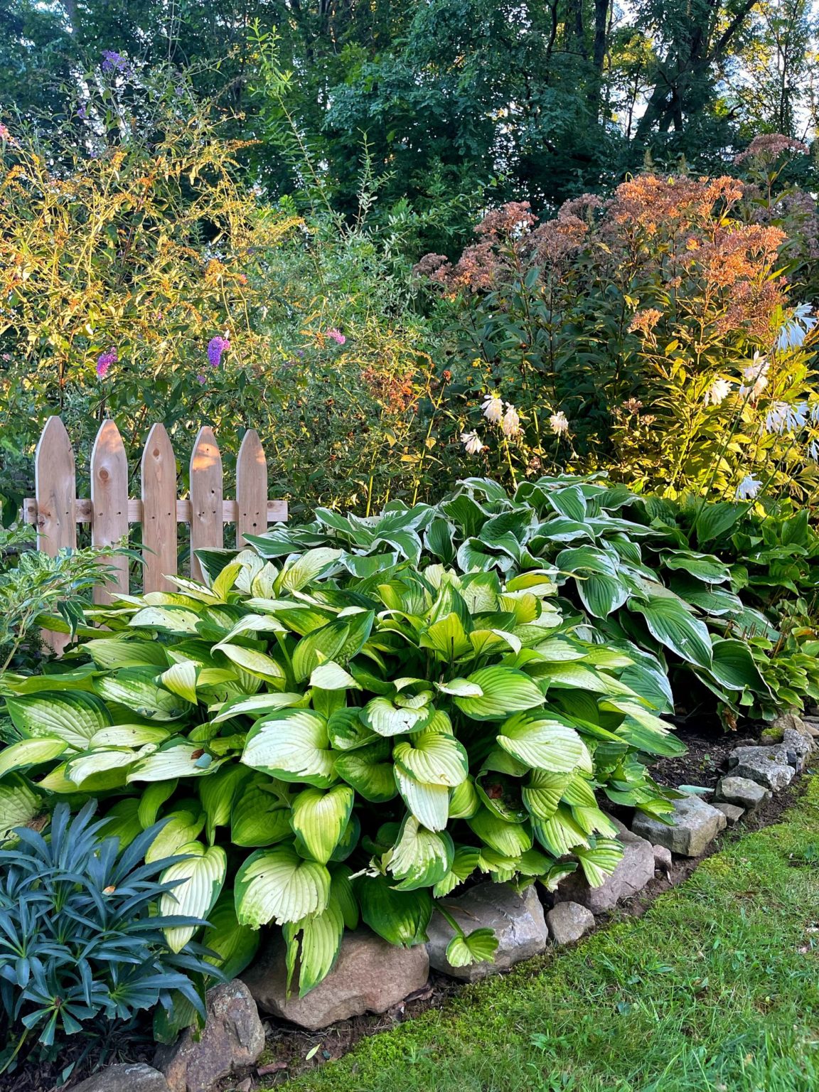 Hosta Care Made Easy: A Complete Guide to Growing Hostas in Shade ...