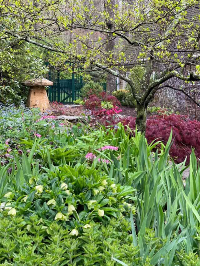 The Best Early Spring Flowers for a Gorgeous Garden Display - Bricks ’n ...