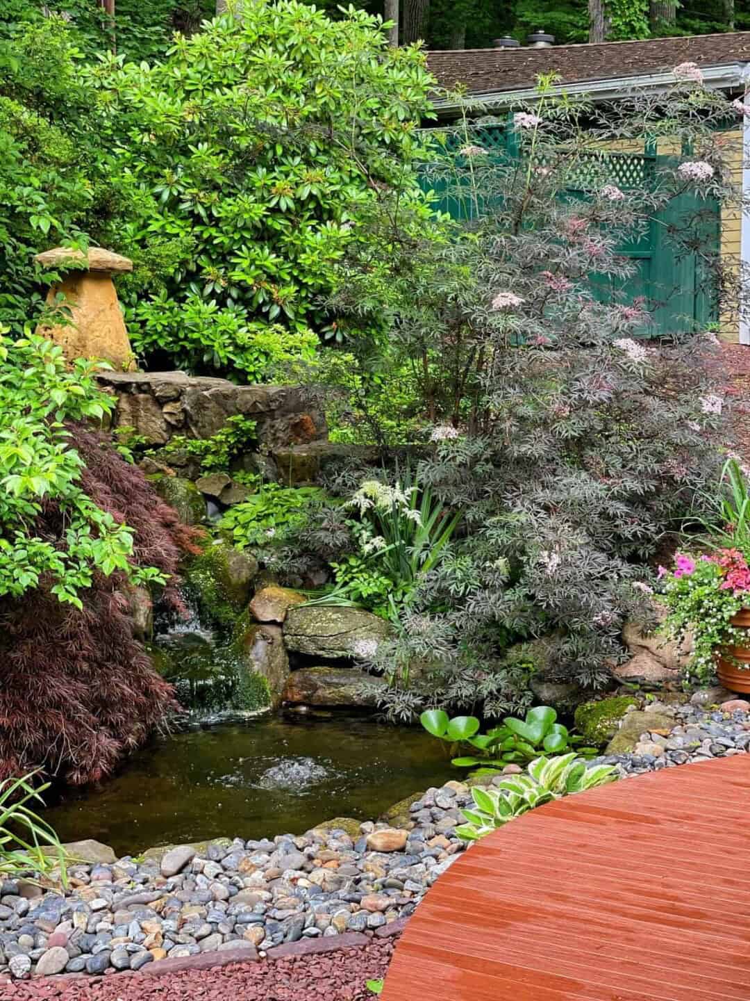 Design Your Dream Backyard Porch with Pest-Repelling Plants | Bricks ’n ...