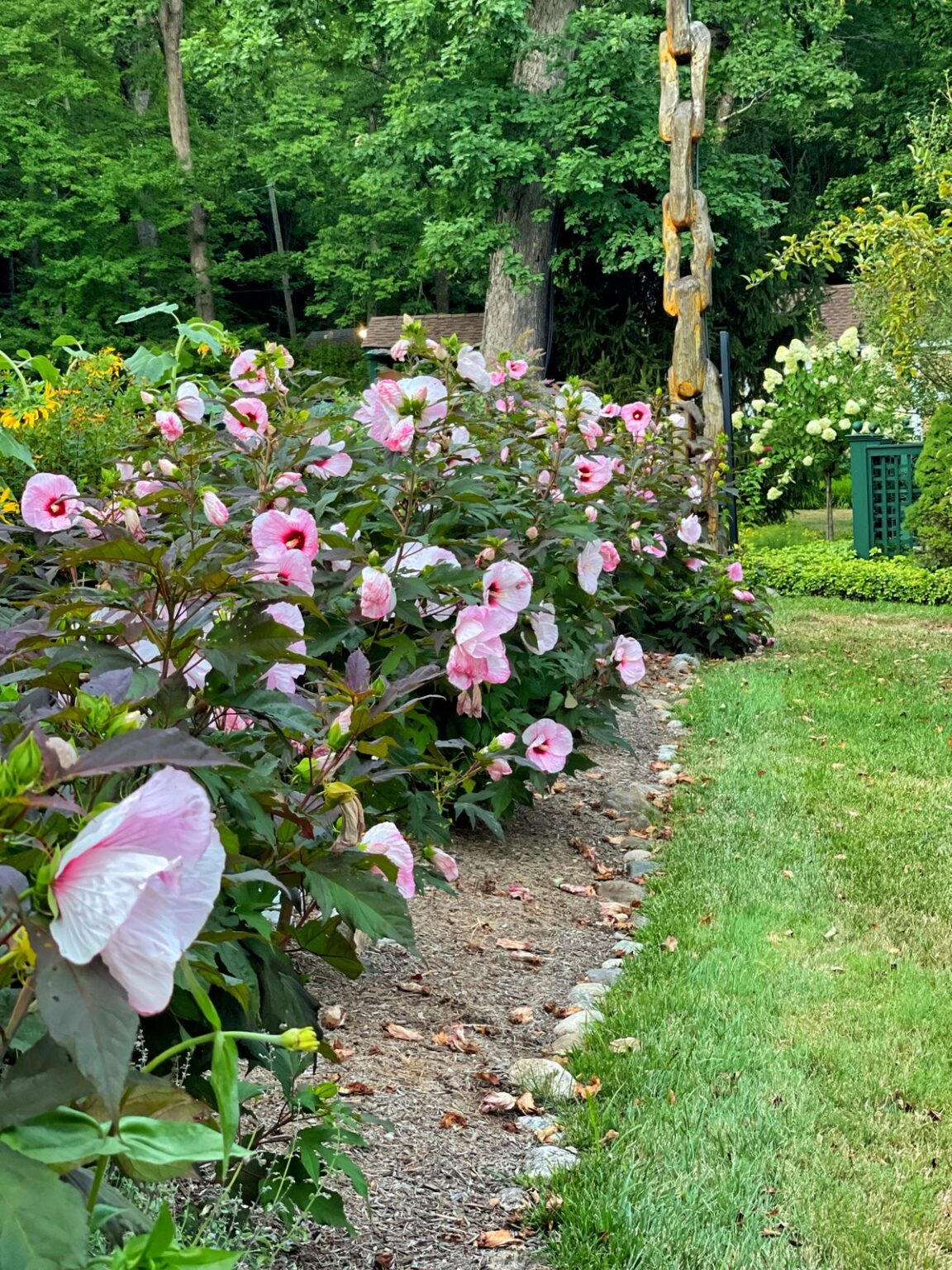 The Best Easy Pink Flowers for Effortless Beauty in Your Garden ...