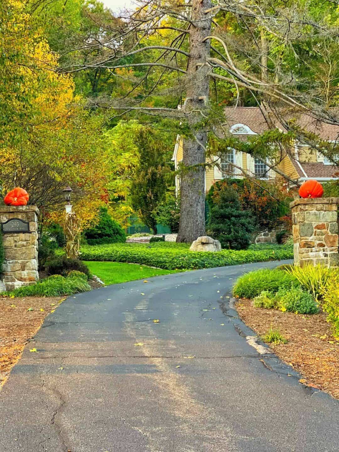 My Fall Garden Tour 2022 (Zone 6B) – Ideas & Inspiration From My Garden ...