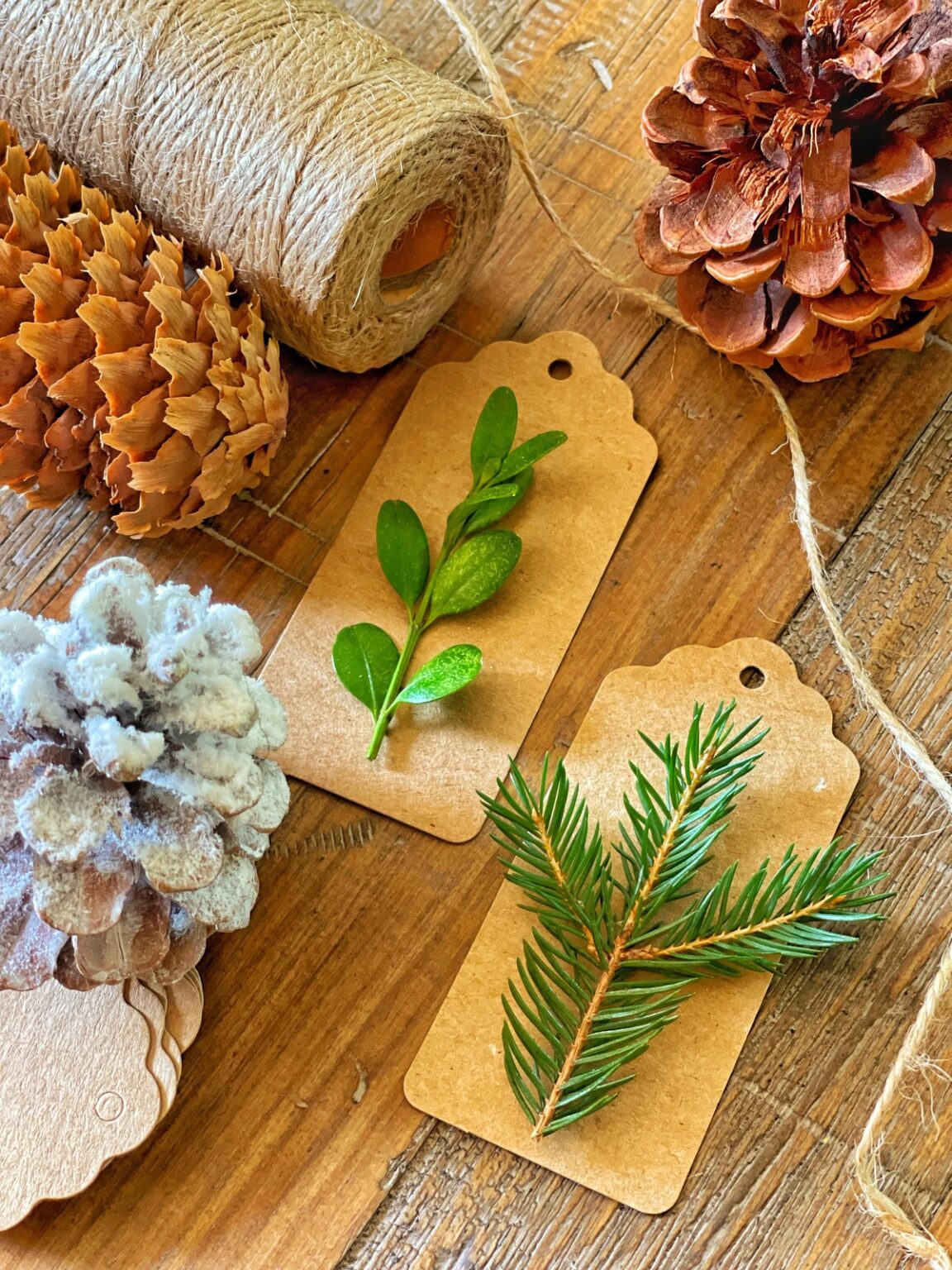 Deck the Halls with Boughs of Holly: Festive Christmas Wreath Ideas to ...