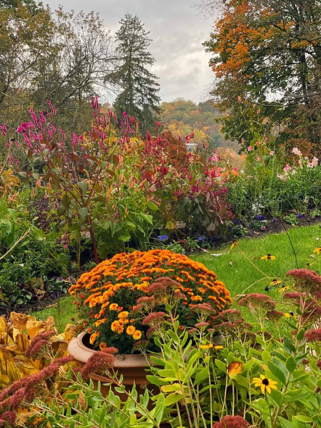 Beyond Flowers: Discover the Beauty of Fall Foliage Plants - Bricks ’n ...