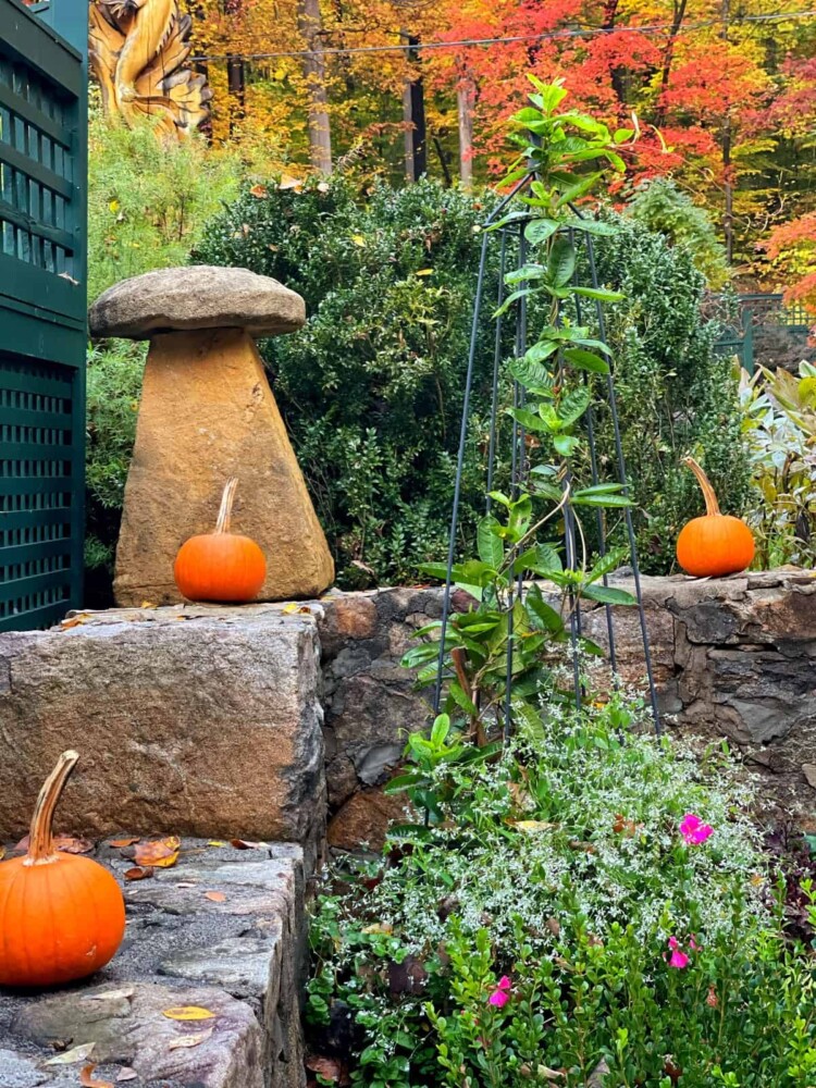 The Easiest Pumpkin Dump Cake You'll Ever Make | Bricks ’n Blooms with ...