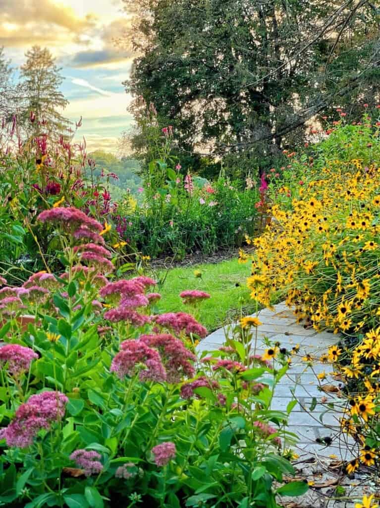 My Fall Garden Tour 2022 (Zone 6B) – Ideas & Inspiration From My Garden ...