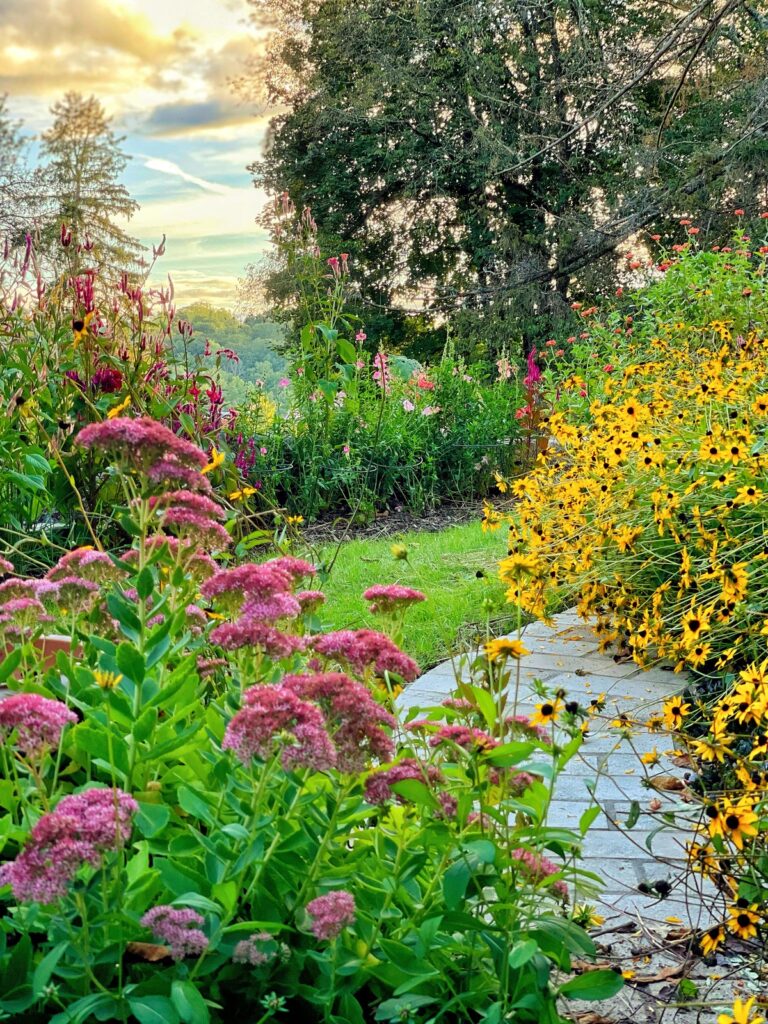My Fall Garden Tour 2022 (Zone 6B) – Ideas & Inspiration From My Garden ...