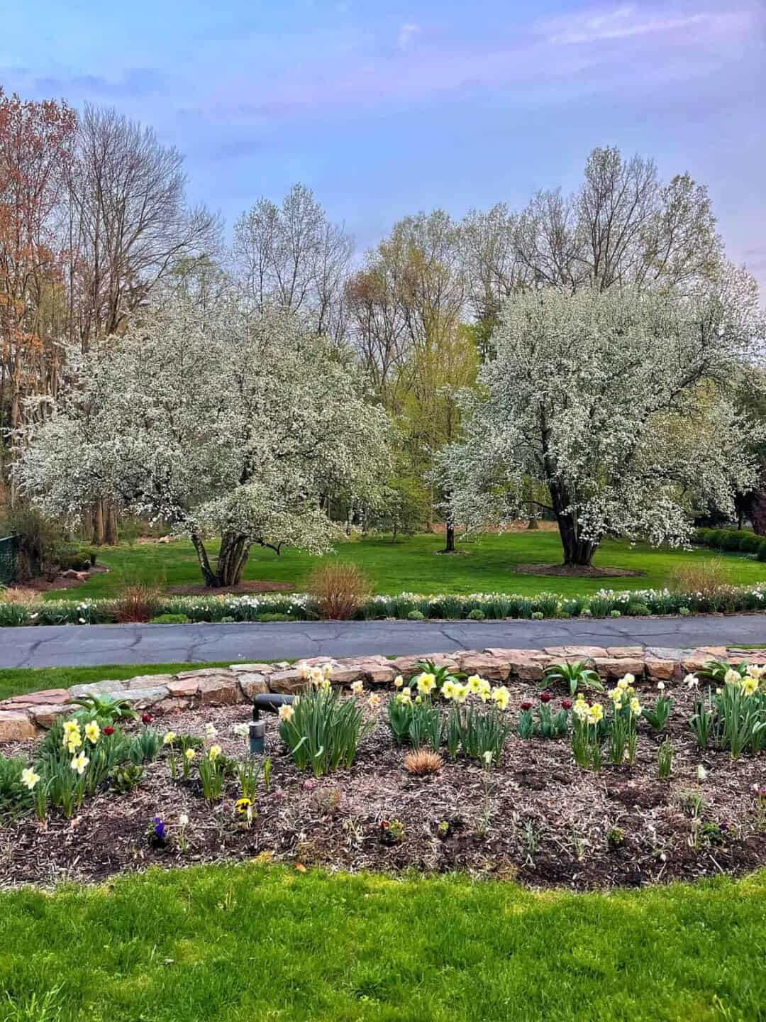 Early Spring Garden Tour 2023 | Bricks ’n Blooms with Stacy Ling