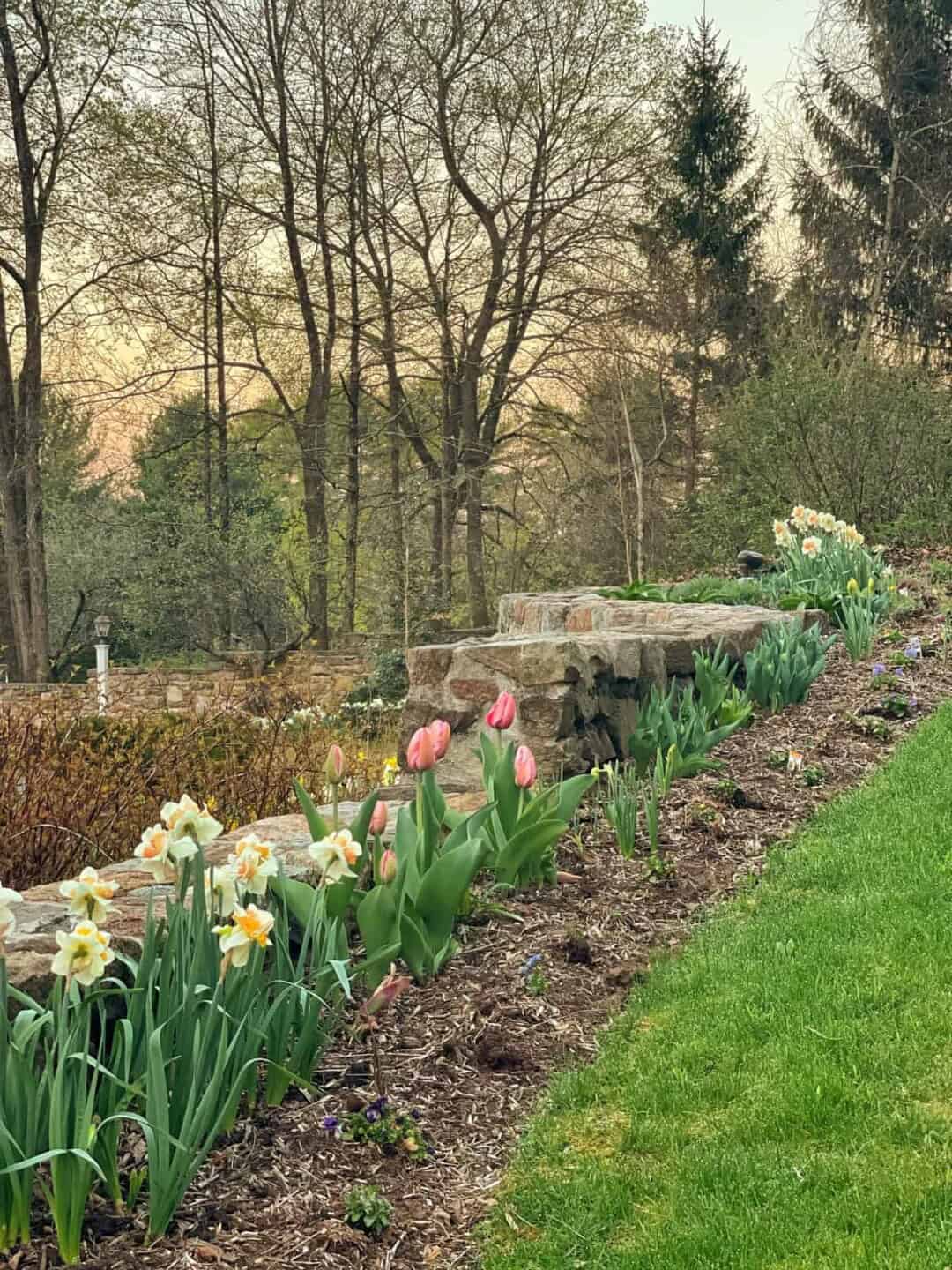 The Best Early Spring Flowers for a Gorgeous Garden Display - Bricks 'n ...