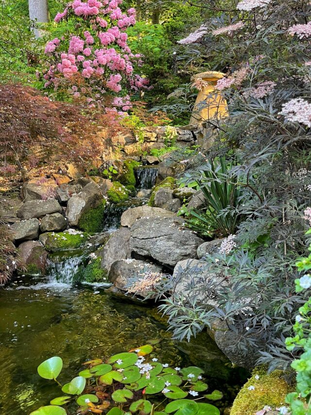 The Best Easy Pink Flowers for Effortless Beauty in Your Garden - Stacy ...