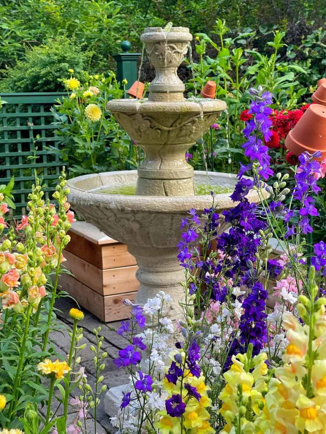 What I’m Changing in My Garden This Year (and Why It Matters) | Bricks ...