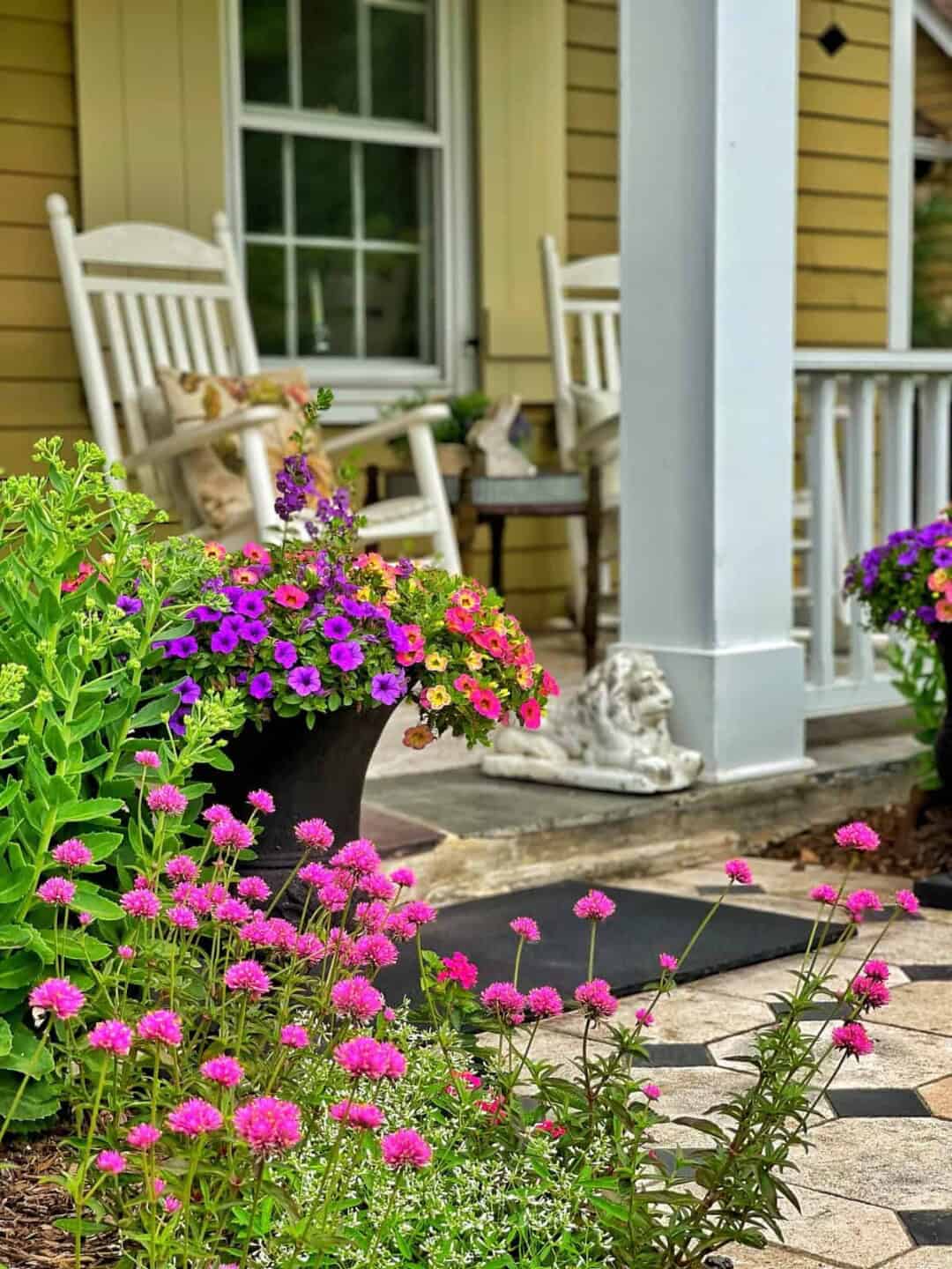 Growing Gomphrena: The Easy Cut Flower That Keeps Blooming | Bricks ’n ...
