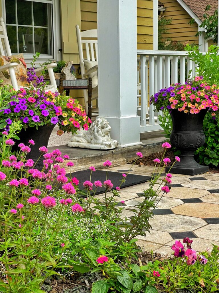 Growing Gomphrena: The Easy Cut Flower That Keeps Blooming - Bricks ’n ...