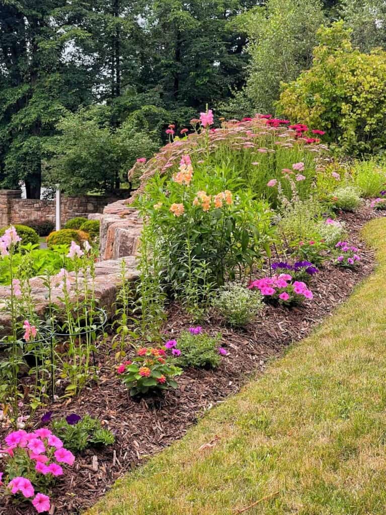 Growing Yarrow For a Stunning, Low-Maintenance Flower Garden - Bricks ...