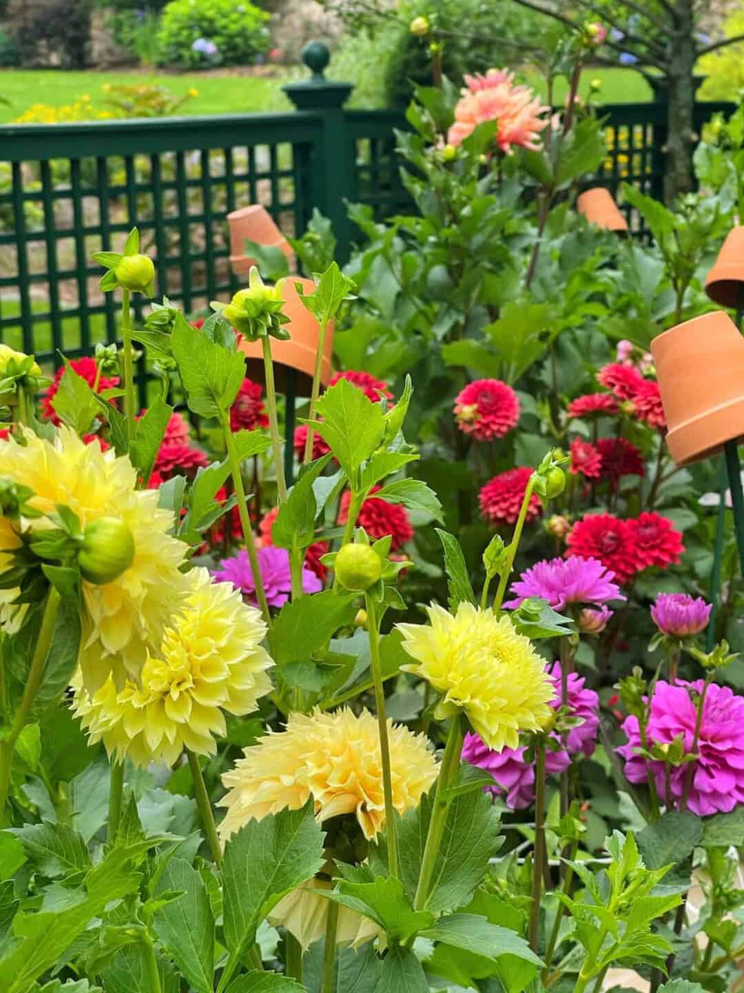 Cut Flower Garden Design: A Beginner's Guide to Non-Stop Color - Bricks ...