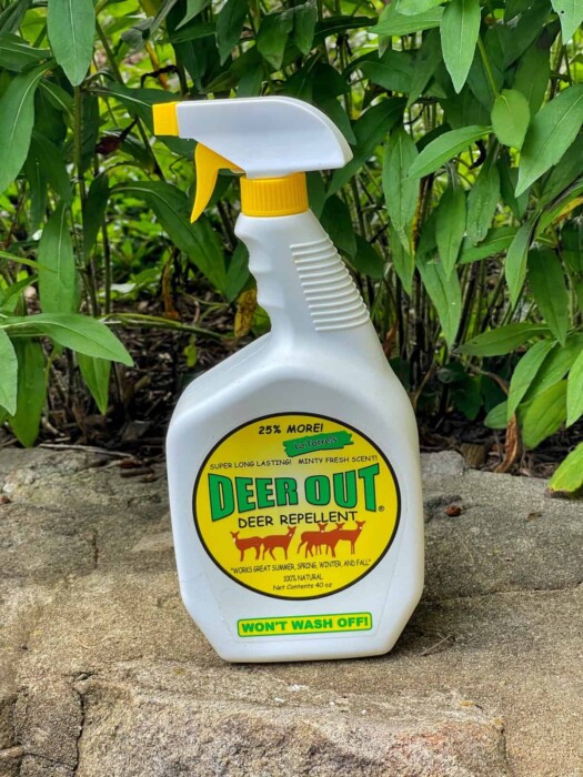 Protect Your Garden: The Ultimate Deer Repellent Guide for 2026 ...