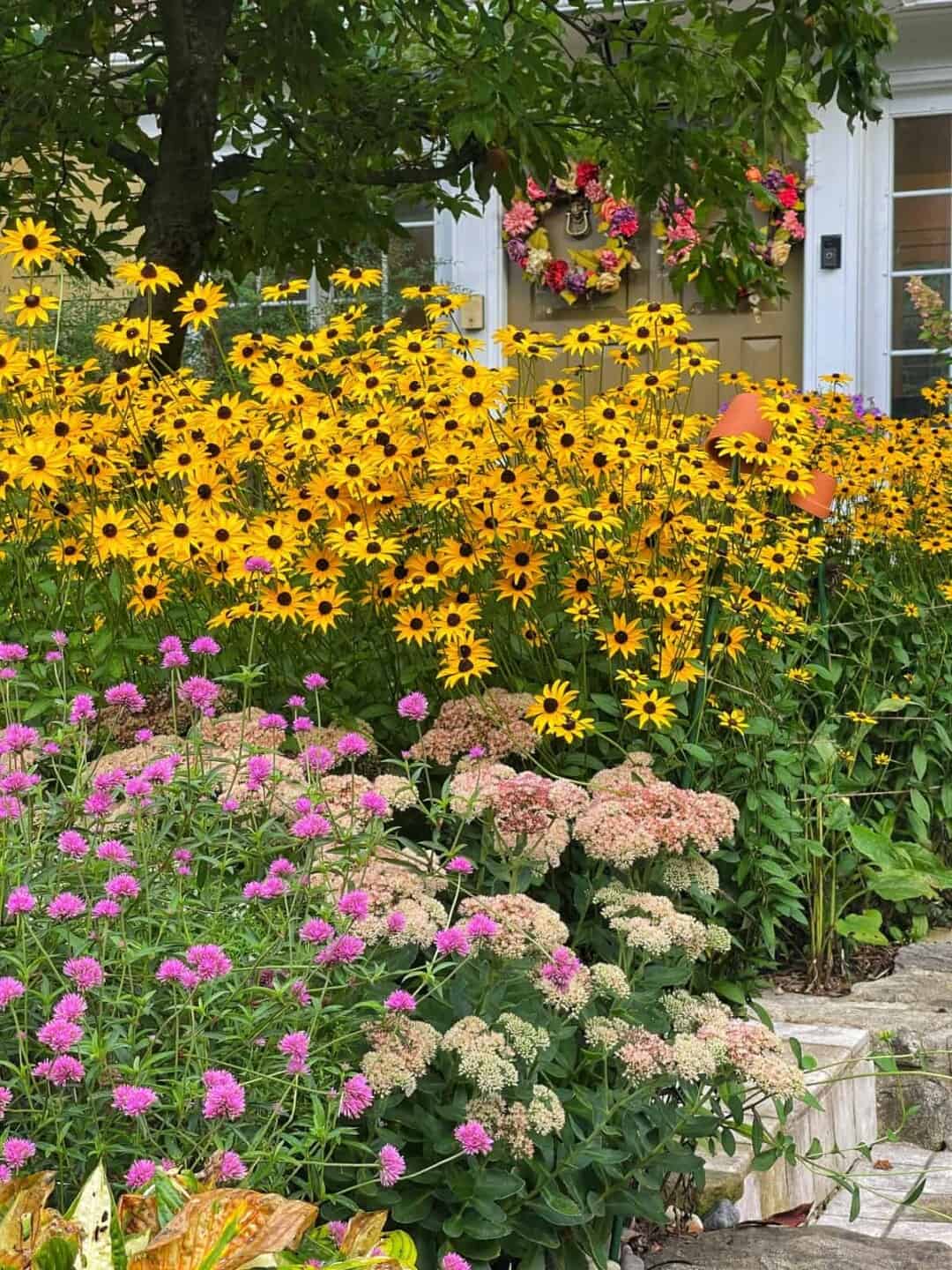 Growing Gomphrena: The Easy Cut Flower That Keeps Blooming - Bricks ’n ...