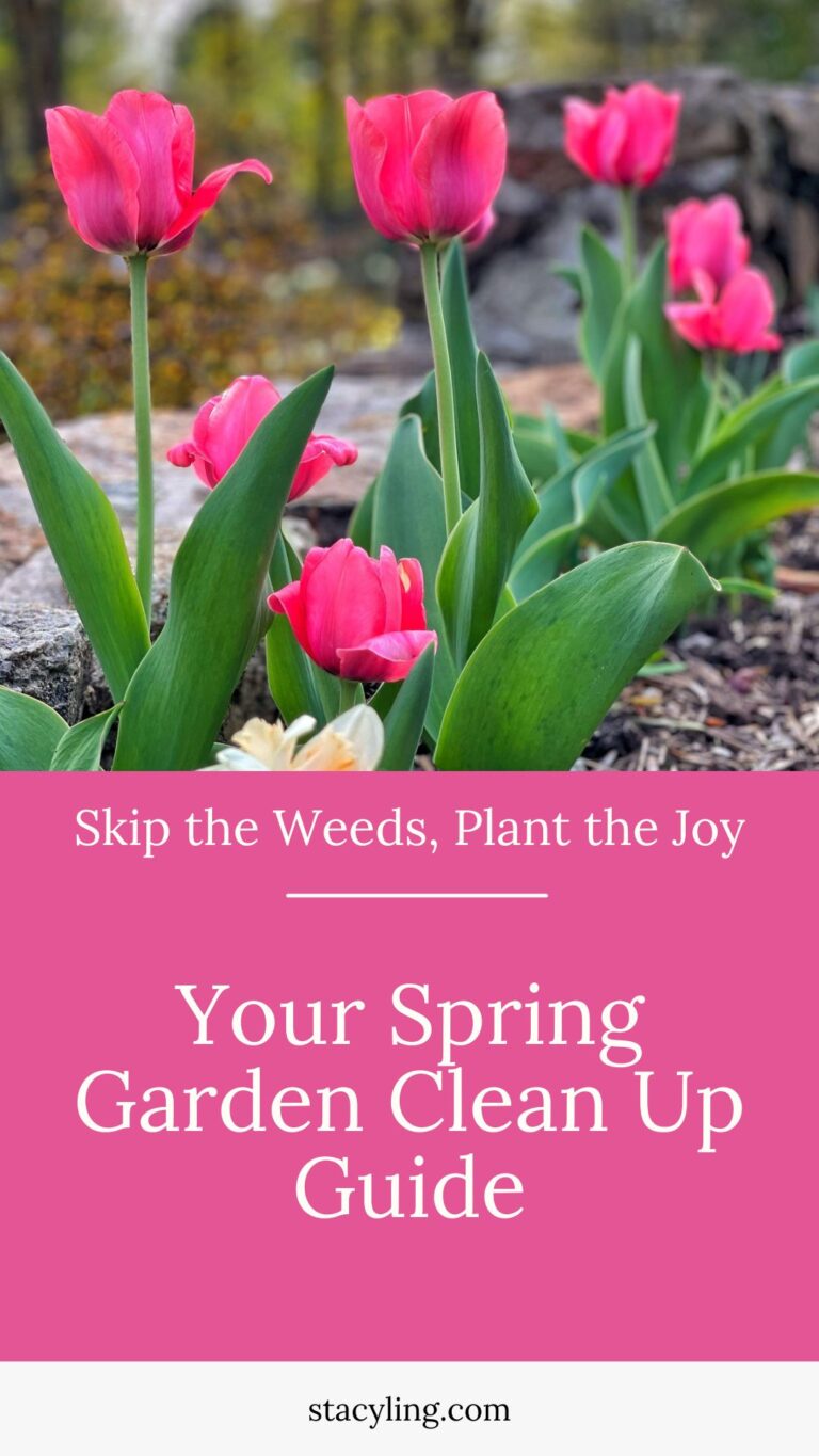 Your No-Fail Spring Garden Clean Up Guide: Skip the Weeds, Plant the ...