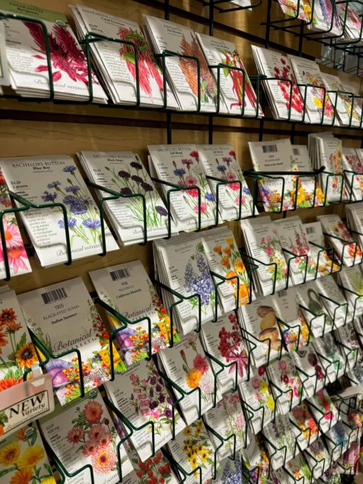 Why Flower Seeds Fail to Germinate (And What to Do Instead) | Bricks ’n ...