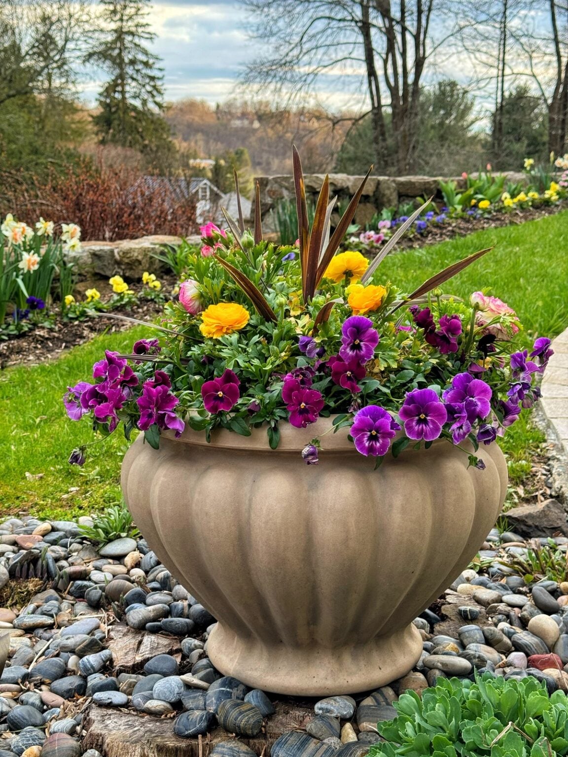 Growing Pansies: Easy Flowers for Fall and Spring | Bricks ’n Blooms ...