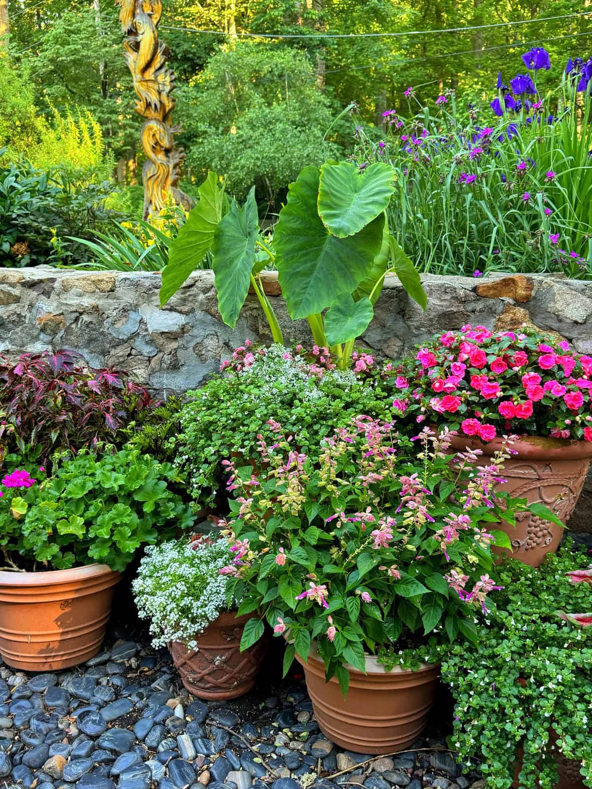 Container Garden Container Garden