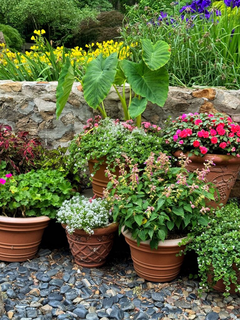Container Gardening Design: How to Create a Lush Planter in 7 Easy ...