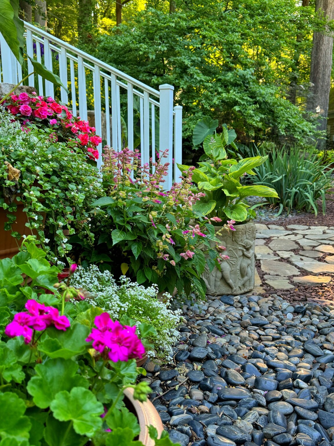 How to Grow Hostas in Pots: A Complete Container Gardening Guide ...