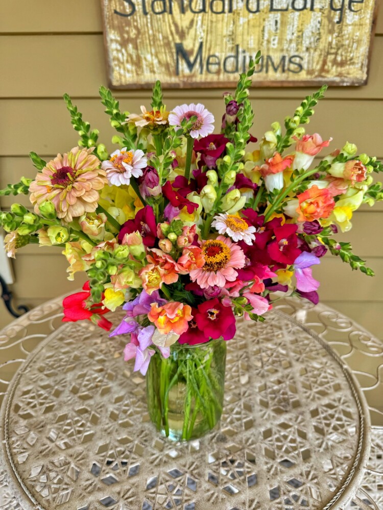 Growing Snapdragons in Your Cut Flower Garden For Stunning Bouquets ...