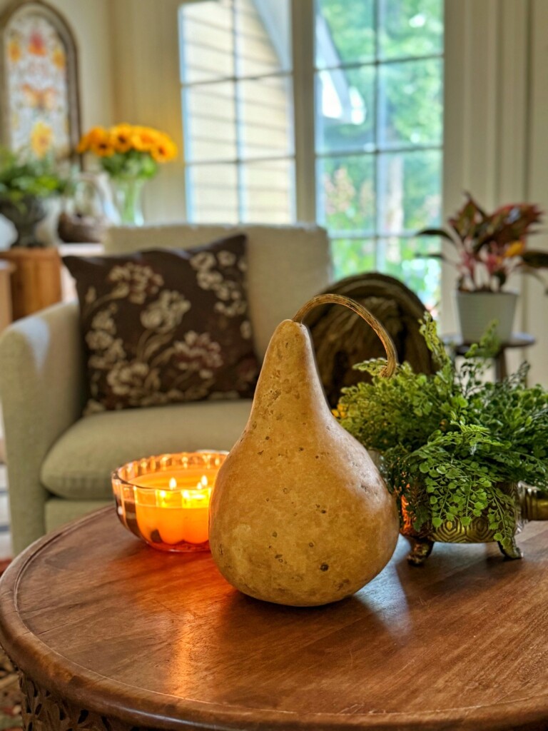 Cozy Cottagecore Living Room in Fall: A Guide to Rustic Charm - Bricks ...