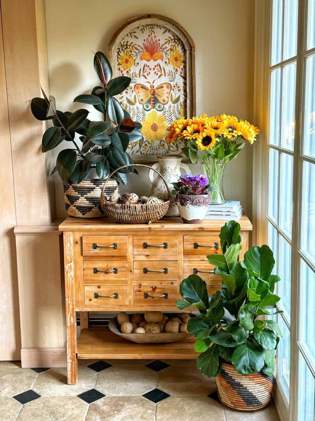 African Violet Not Blooming? Your Guide to Gorgeous Flowers Again ...