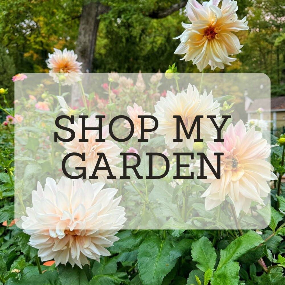 The Essential Flower Garden Planner: Track, Learn, and Grow Your Best ...