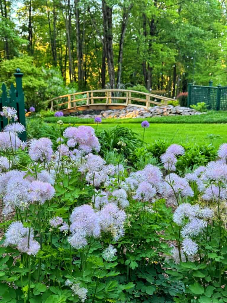Perennial Garden Design: A Guide to Continuous Bloom - Bricks ’n Blooms ...