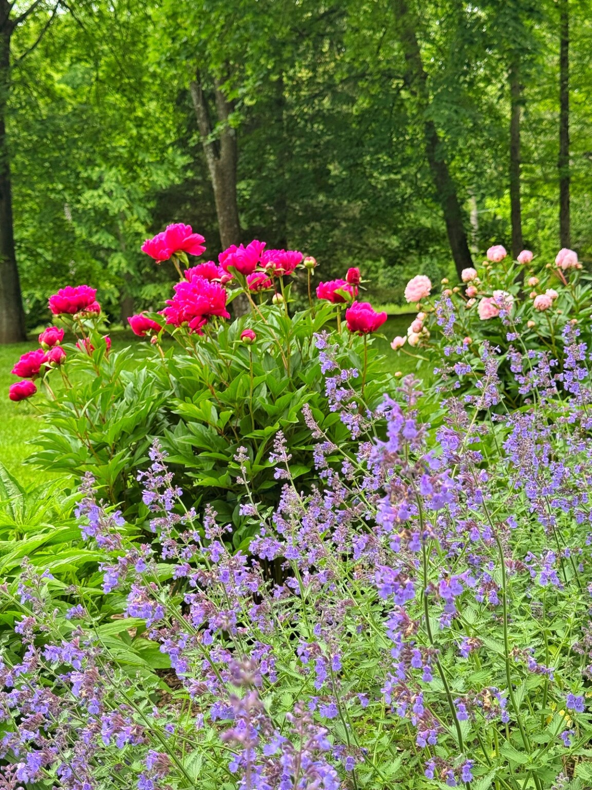 Perennial Garden Design: A Guide to Continuous Bloom - Bricks ’n Blooms ...