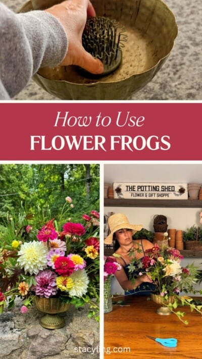 How to Use Flower Frogs: A Gardener's Guide to Stunning Arrangements ...