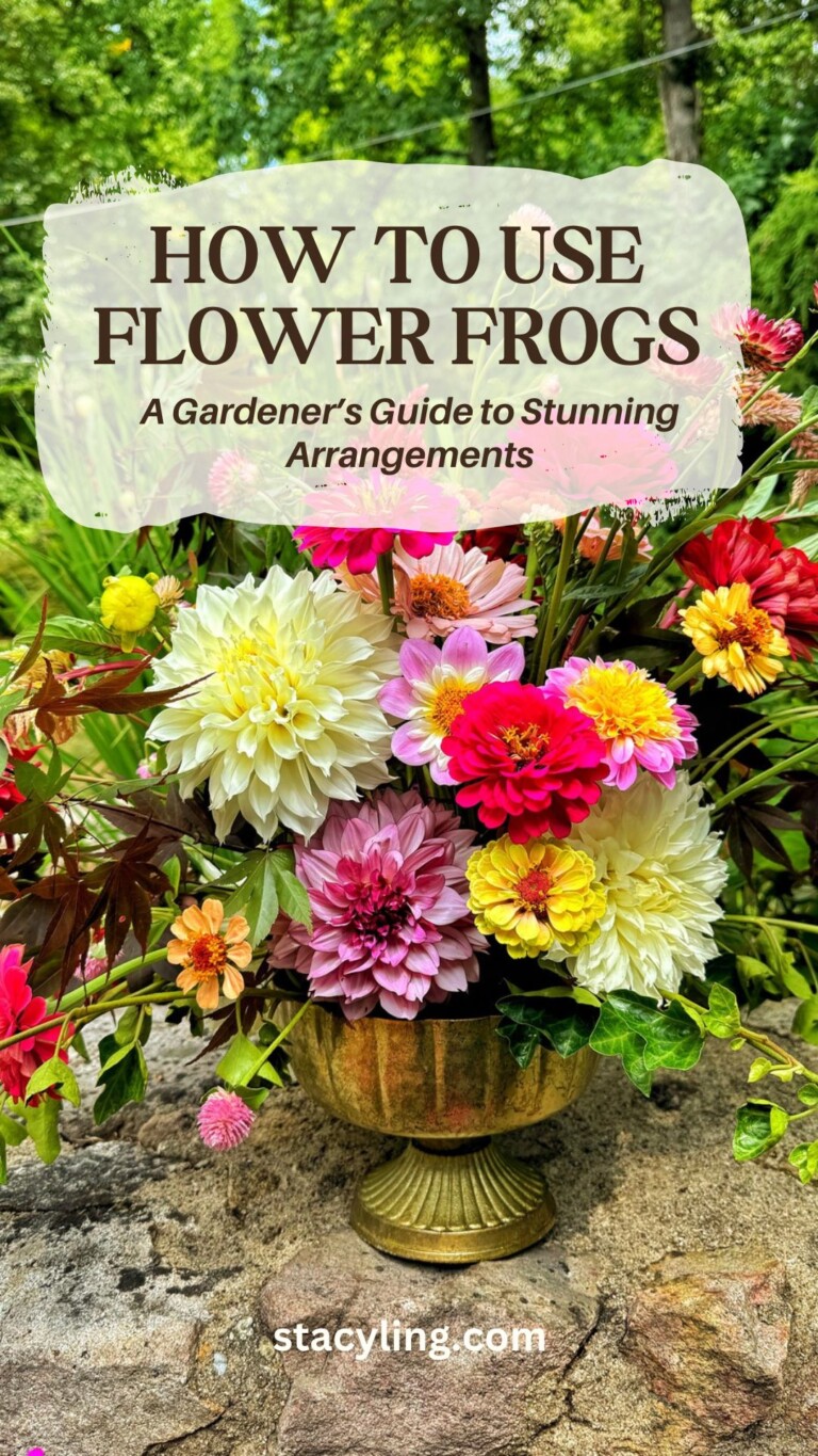How to Use Flower Frogs: A Gardener's Guide to Stunning Arrangements ...