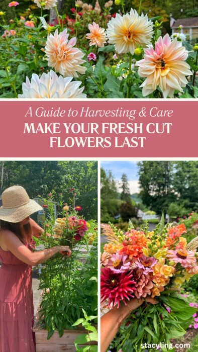 Make Your Fresh Cut Flowers Last: The Ultimate Guide to Harvesting ...