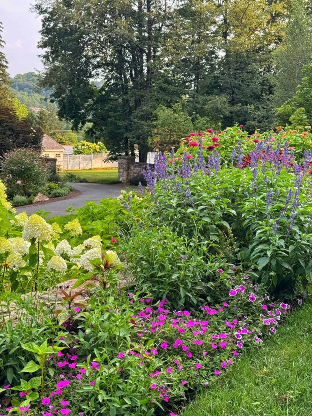 A Look Back at My Summer Garden in Full Bloom (2025) - Bricks ’n Blooms ...