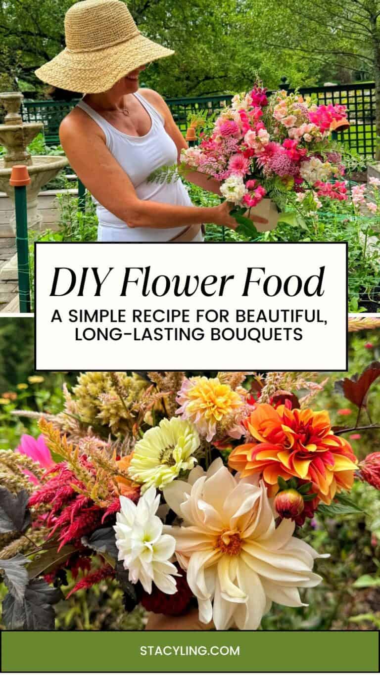 Homemade Flower Food: A Simple Recipe for Beautiful, Long-Lasting ...