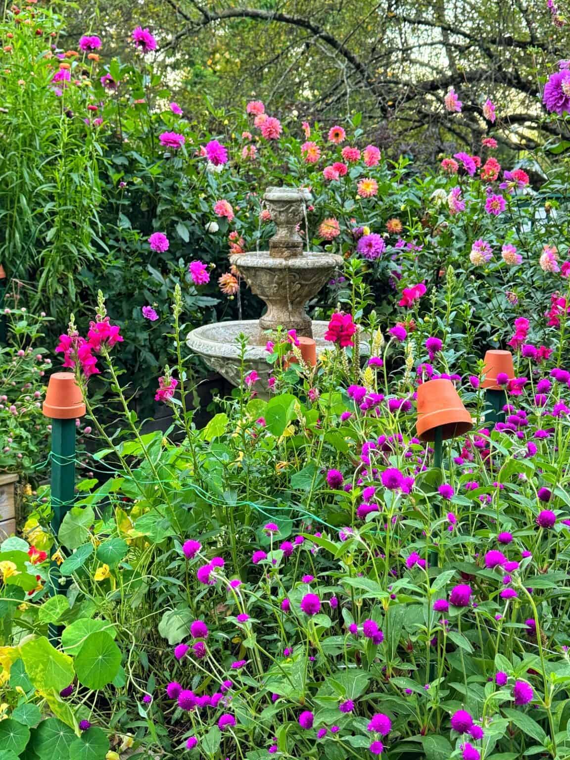Cut Flower Garden Design: A Beginner's Guide to Non-Stop Color - Bricks ...
