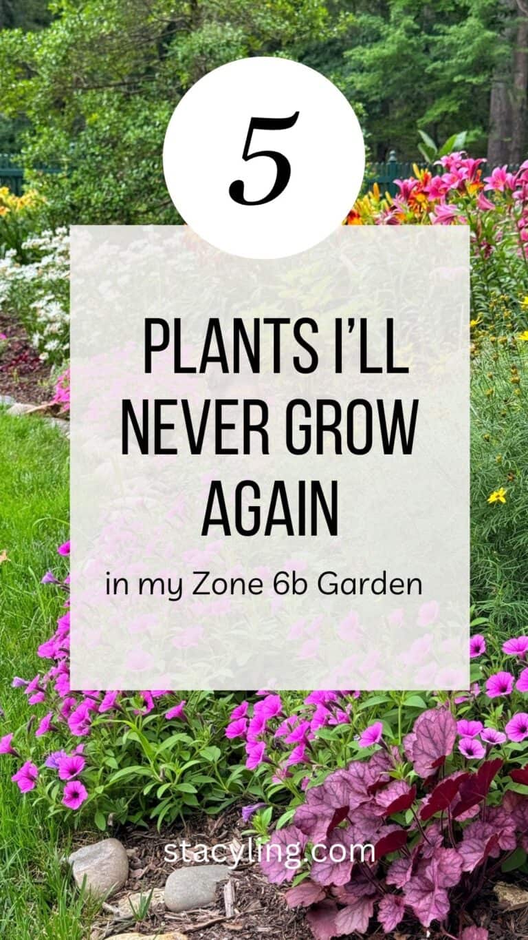 After 30 Years Gardening in Zone 6b, These 5 Plants Are a Hard No ...