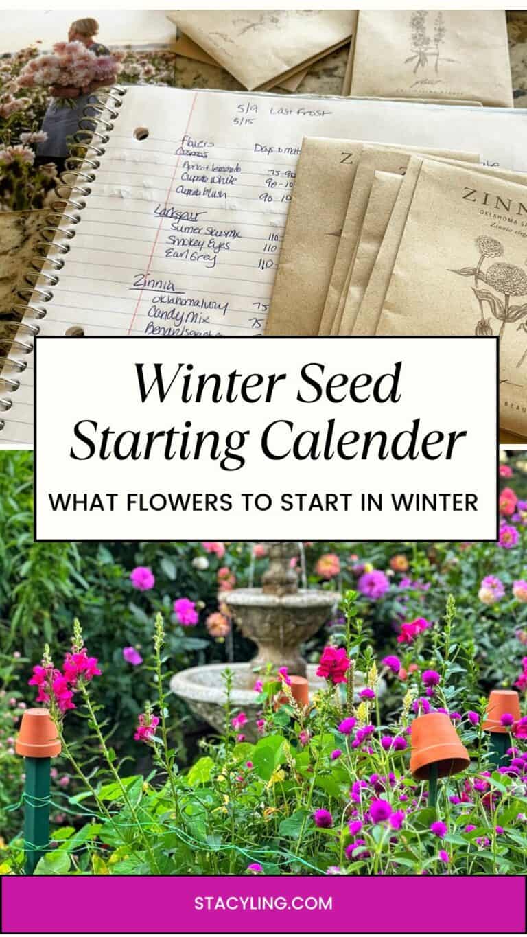 Winter Seed Starting Calendar: What Flowers to Start in Winter - Bricks ...