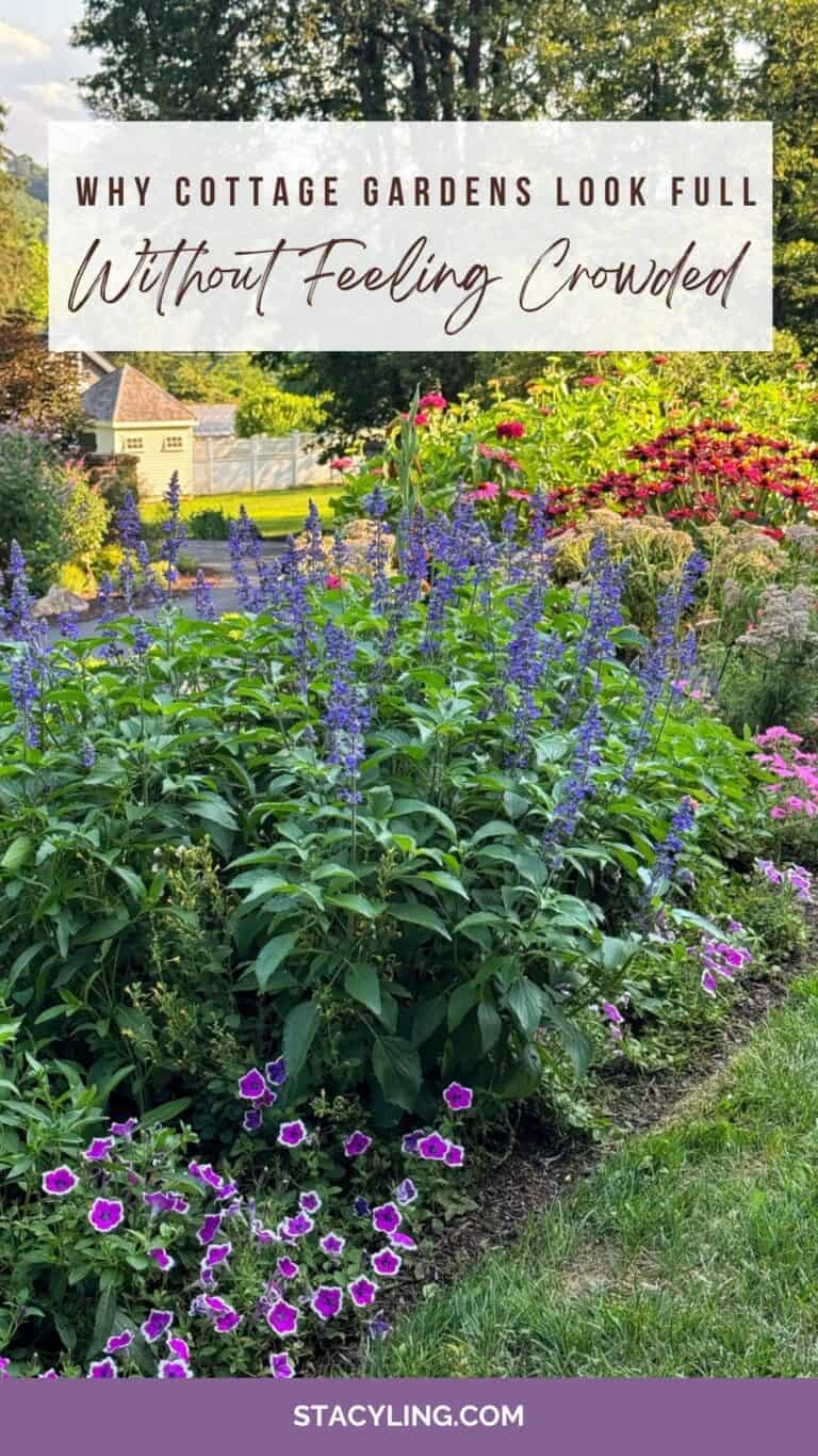 Why Cottage Gardens Look Full Without Feeling Crowded | Bricks ’n ...